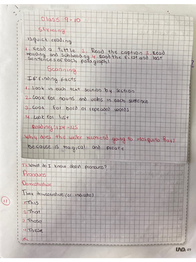 Skiming and Scanning | PDF
