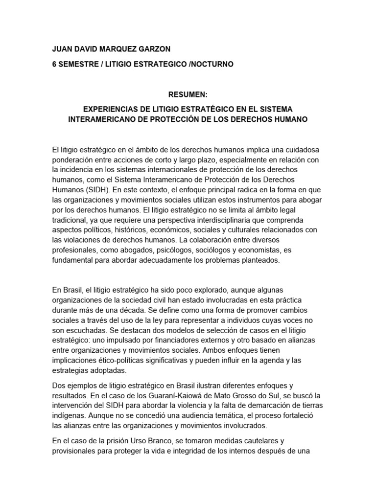 Resumen Litigio-Derechos Humanos | PDF | Derechos humanos | Violación