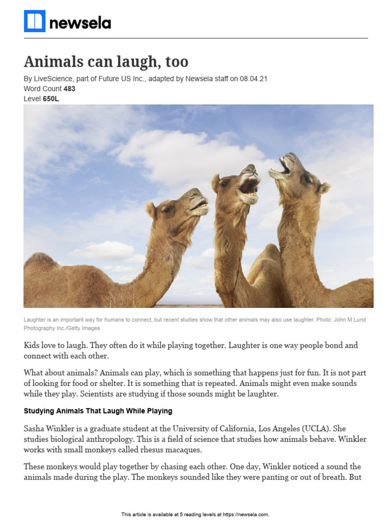 03 - Do Animals Laugh 2001021438 Article - and - Quiz | PDF | Laughter | Monkey
