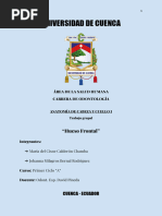 Region Superciliar ANATOMIA 2 FOLP | PDF | Anatomía humana | Cabeza y ...