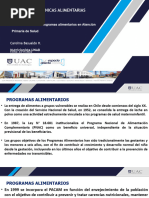 Formulario PNAC para Niños Extrasistema | PDF