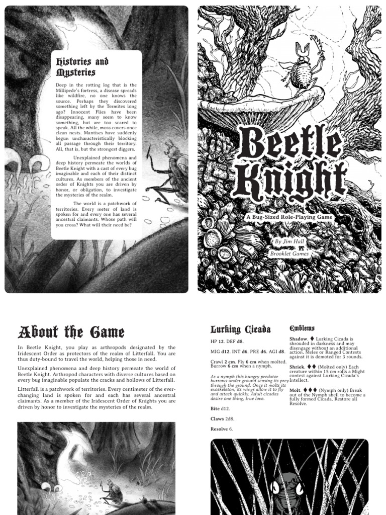 Beetle Knight: A Bug RPG Adventure | PDF | History | Young Adult