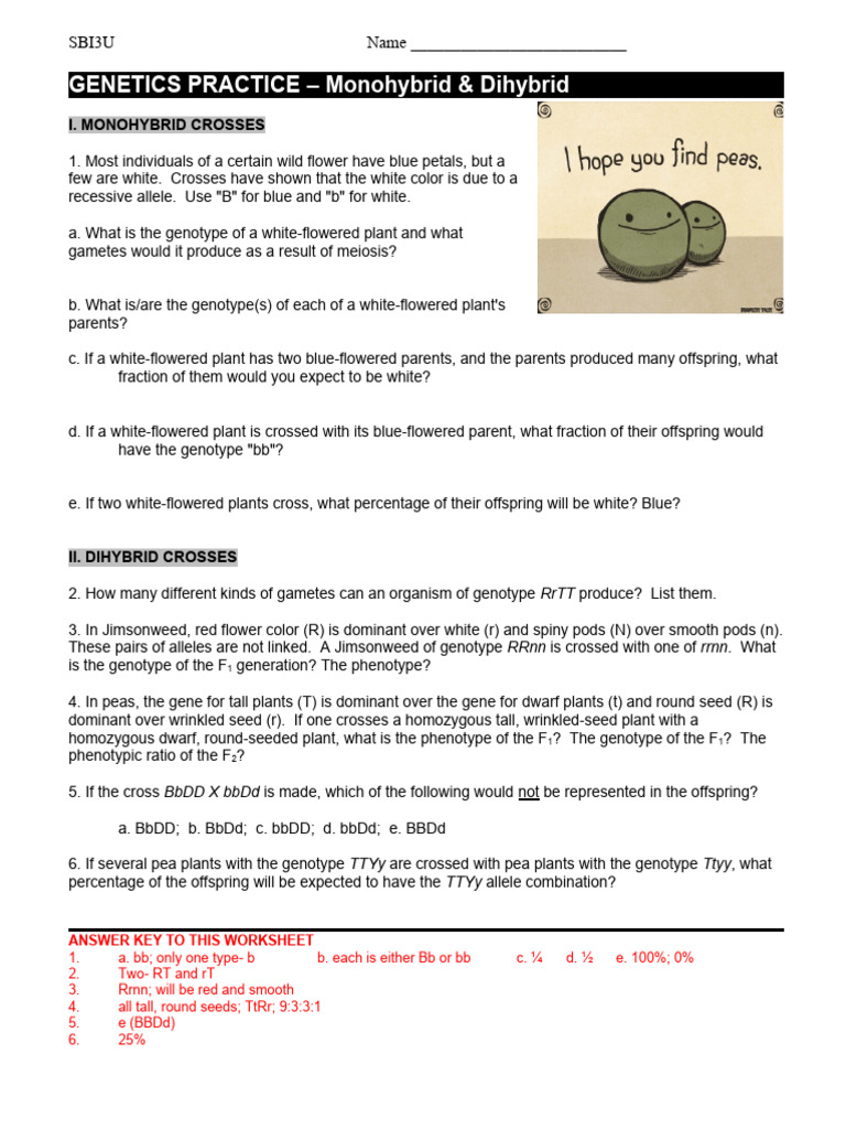 Genetics Practice Monohybrid and Dihybrid | PDF | Science & Mathematics