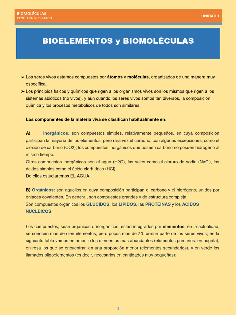 BIOELEMENTOS y BIOMOLÉCULAS | PDF | Aminoácidos | Carbohidratos