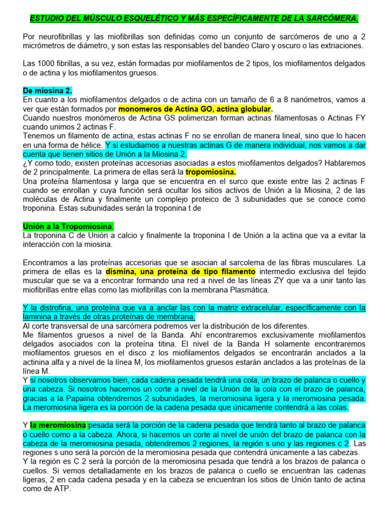 Tejido Muscular Bioquimica Neurom | PDF | Músculo | Unión neuromuscular