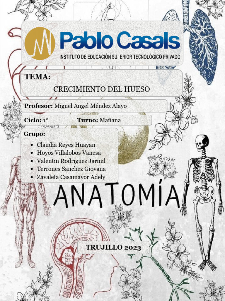 Crecimiento Del Hueso | PDF | Hueso | Sistema esquelético