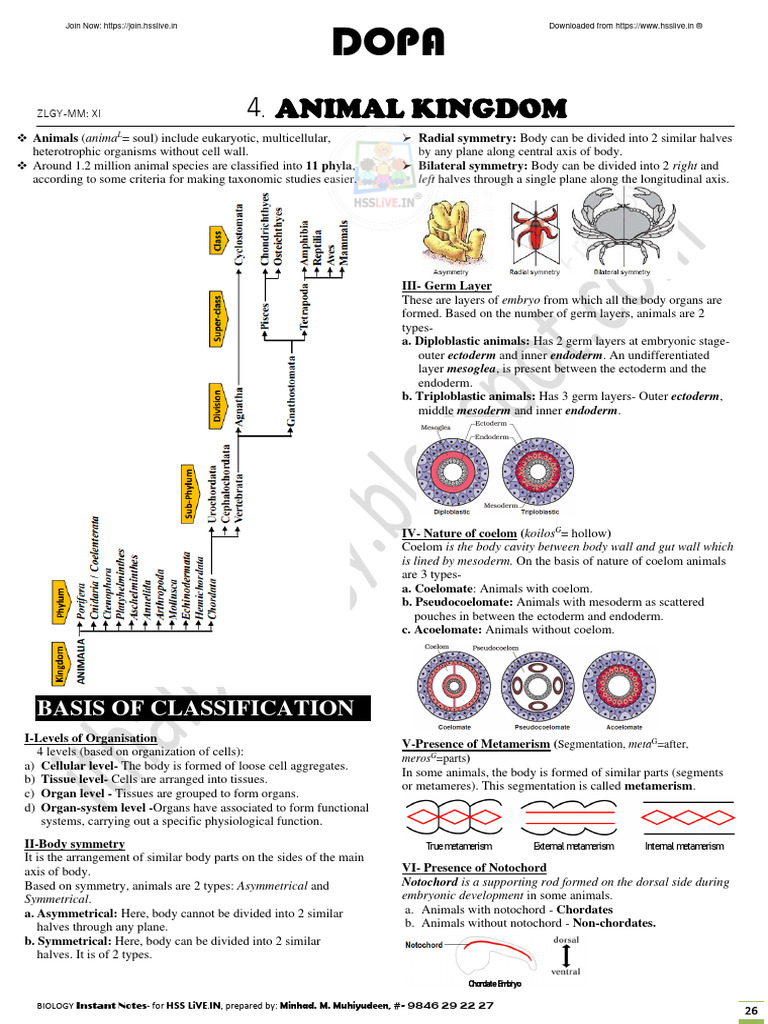 Hsslive XI Zoology CH 2 Animal - Kingdom - Minhad | PDF | Sponge | Fish