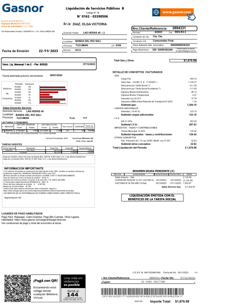 Gasnor 2 | Descargar gratis PDF | Pagos | Impuestos
