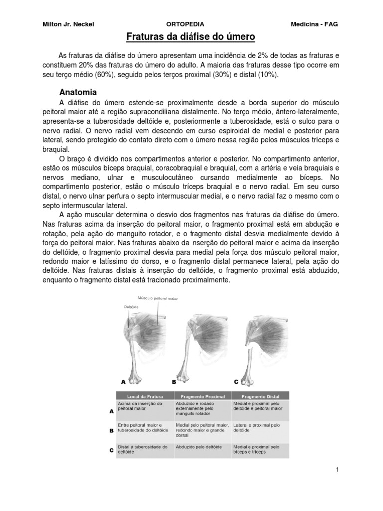 Fraturas Da Diáfise Do Úmero - Resumo Ortopedia Medicina | PDF ...