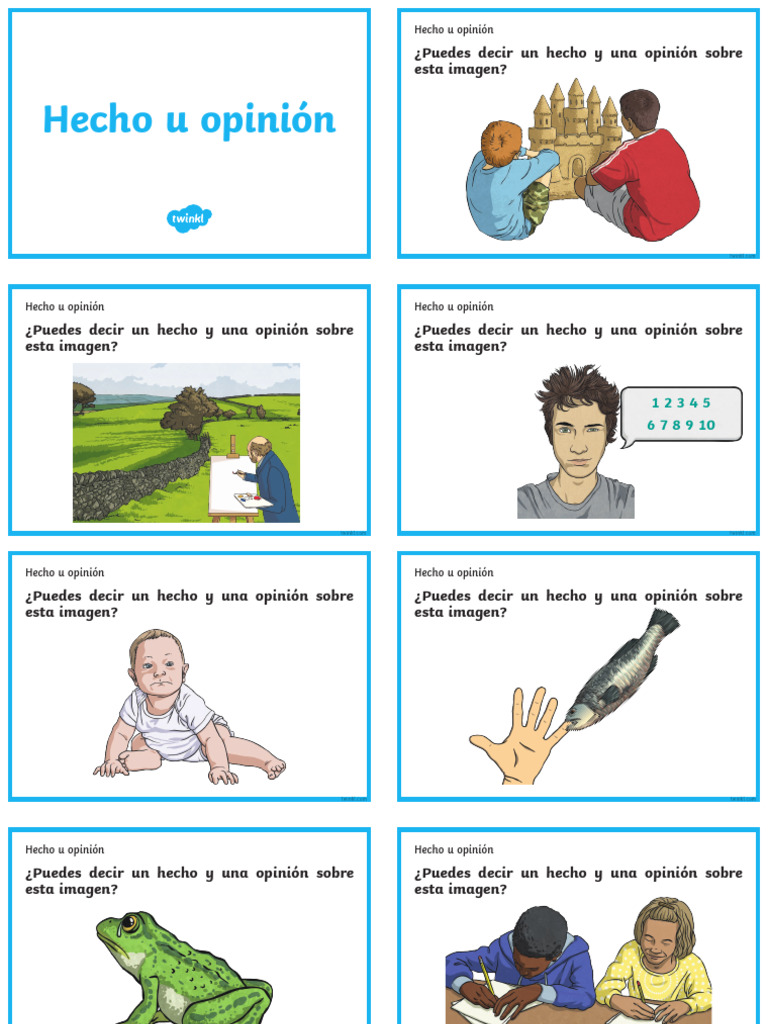 Hecho U Opinión | PDF