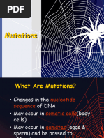 Amoeba Sisters Mutations Recap Guide | PDF | Genetic Code | Point Mutation