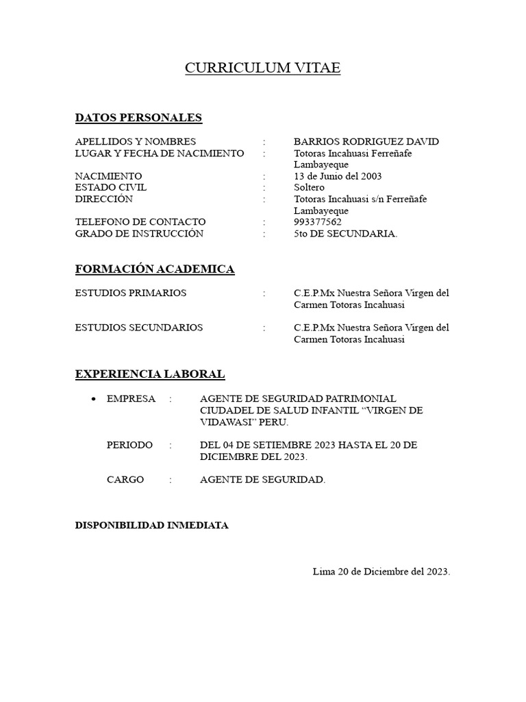 CURRICULUM VITAE David Barrios | PDF