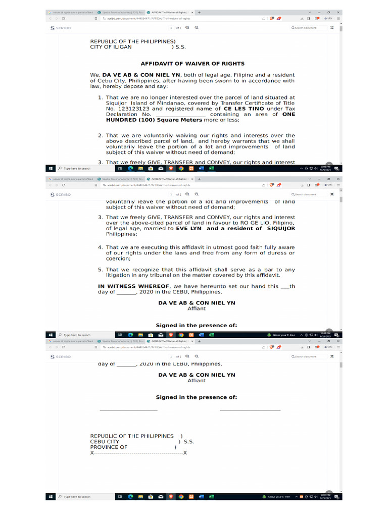 Affidavit of Waiver | PDF