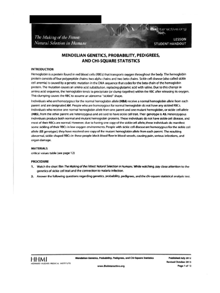 Molecular Basis of Inheritance - Redacted | PDF