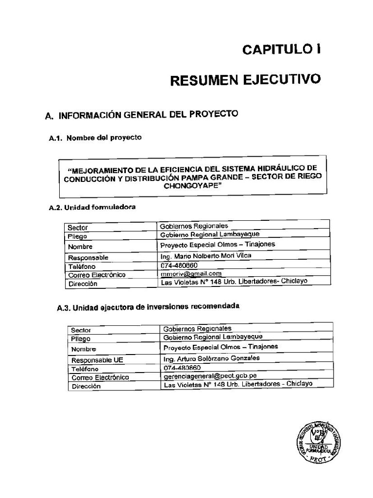 Resumen Ejecutivo | PDF
