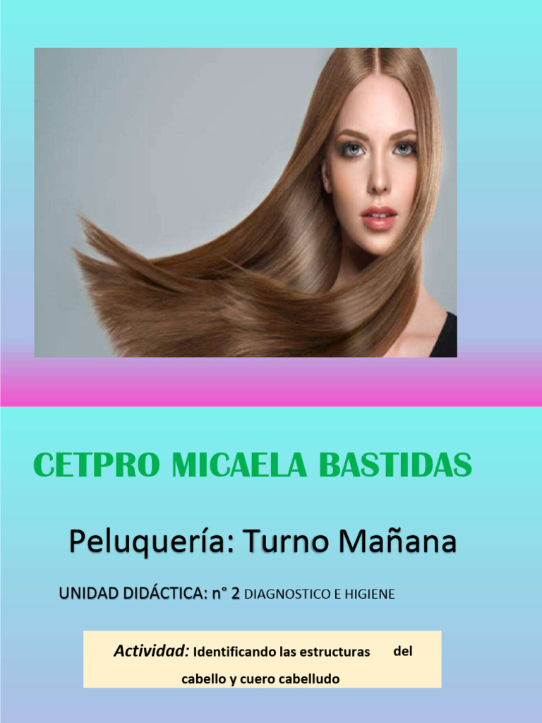 5 Estructura Cabello. | PDF | Pelo | Sistema tegumentario