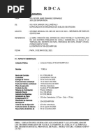 8 - RM - 461 - 2007 - Superficies Peruana | PDF | Alimentos