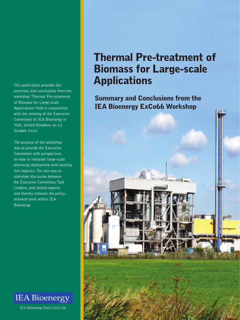ExCo66 Thermal Pre Treatment of Biomass For Large Scale Applications ...