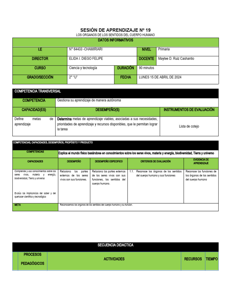 Sesión de Aprendizaje #19 Cta | PDF | Aprendizaje | Evaluación