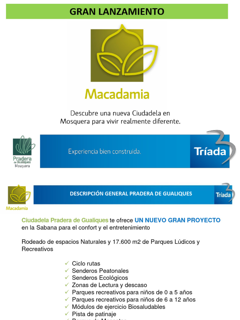 Presentacion Macadamia | PDF