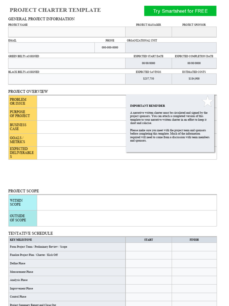IC Project Charter 8556 - WORD | PDF | Reliability Engineering | Business