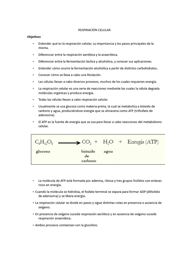 Respiración Celular | PDF | Respiración celular | Trifosfato de adenosina