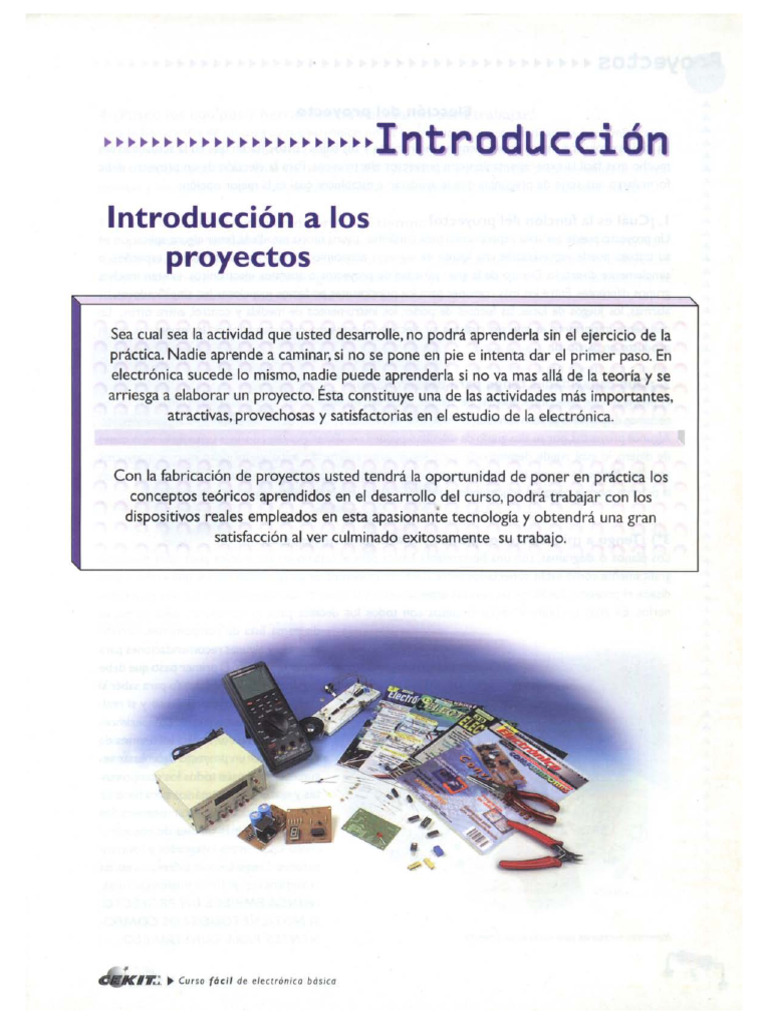 Proyectos Electronicos | PDF