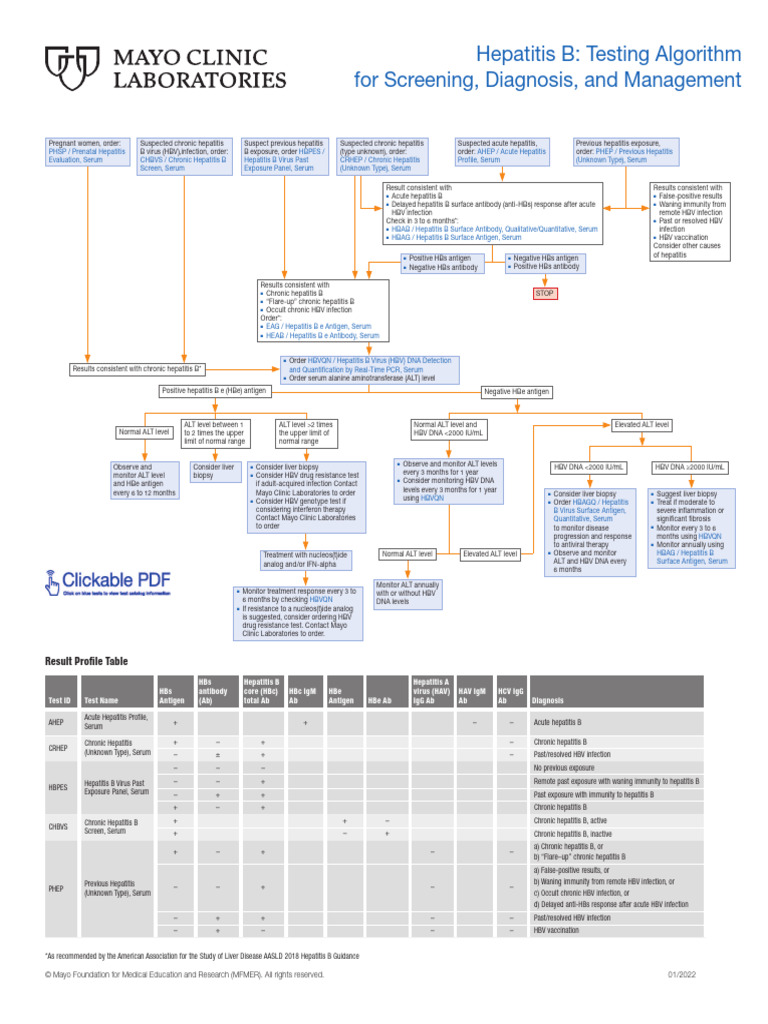 Hepatitis B: Testing Algorithm For Screening, Diagnosis, and Management ...