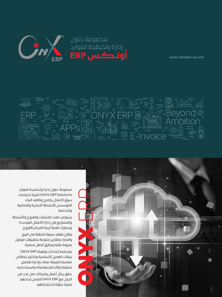 Onyx Profile 2023 AR - Final 2 | PDF