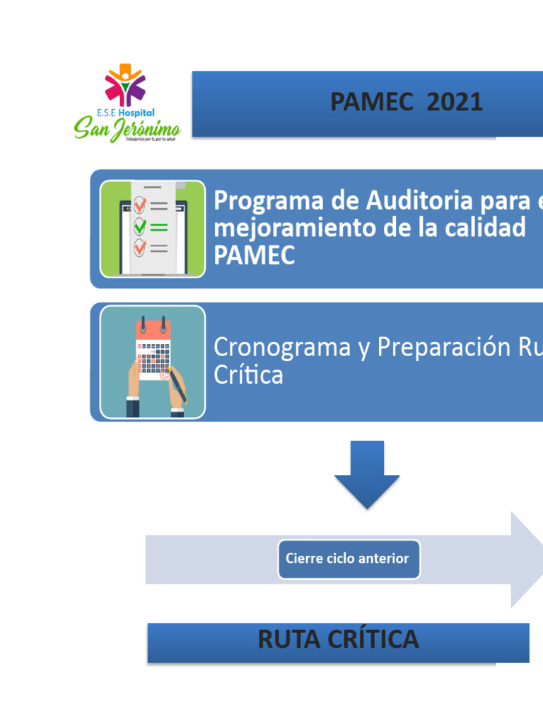 Auditoría PAMEC 2021: Mejora de Calidad | PDF | Seguridad del paciente ...