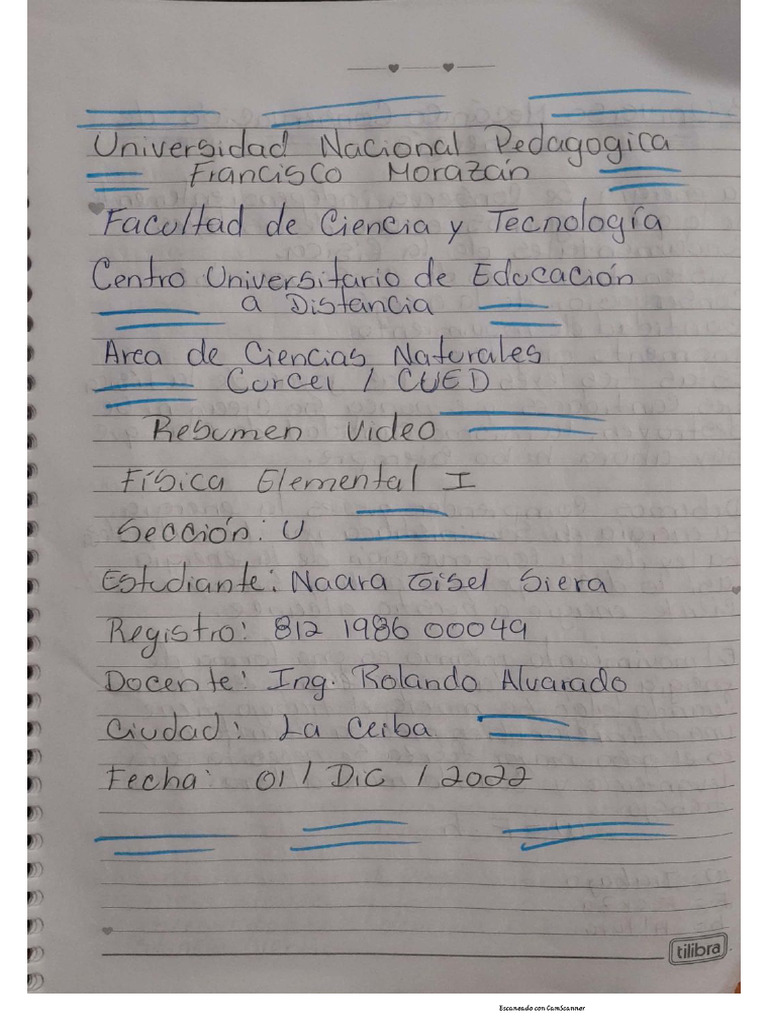 Gravedad, Electricidad y Magnetismo | PDF