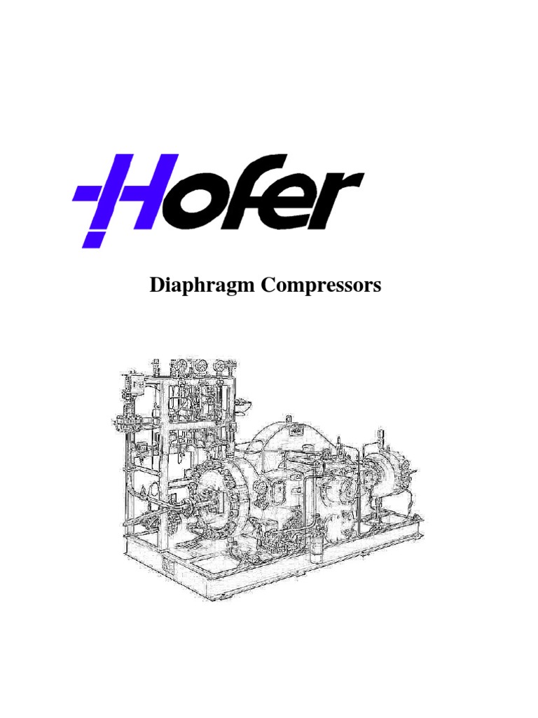 Diaphragm H2 Compressor | PDF | Gas Compressor | Pump