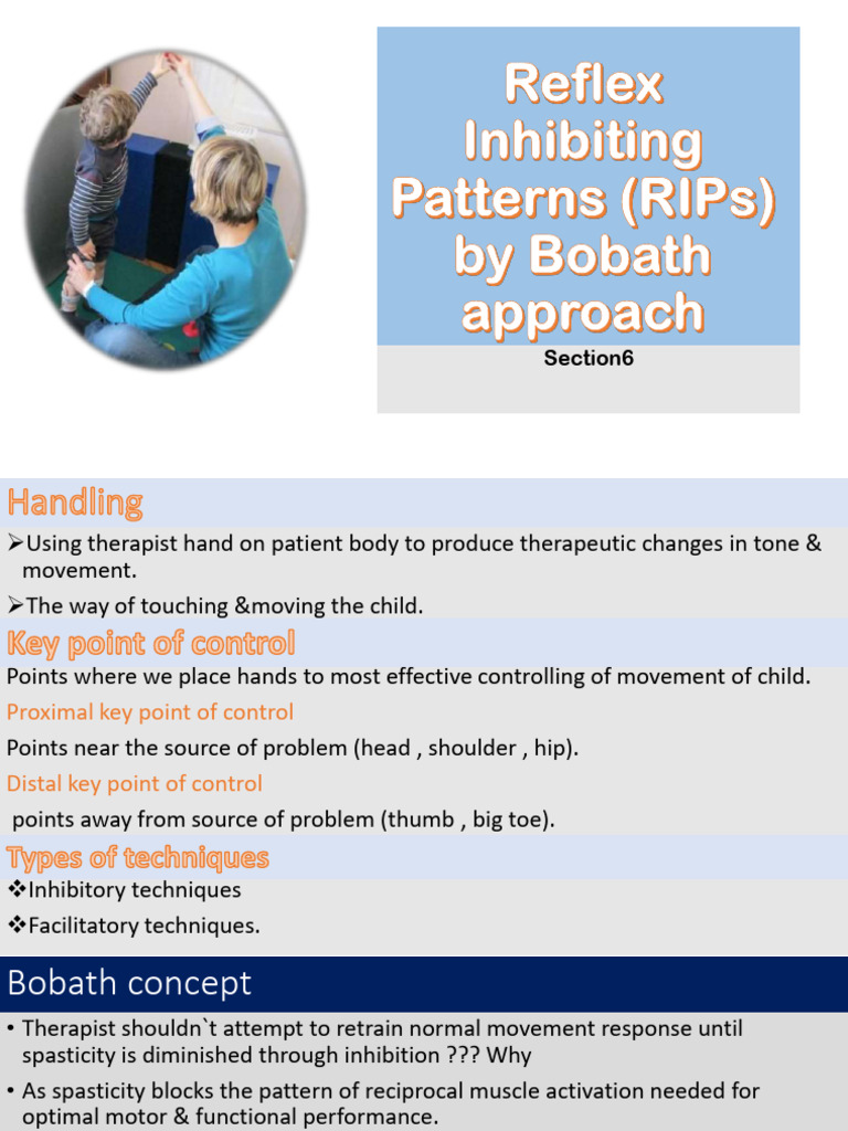 7-Bobath | PDF | Anatomical Terms Of Motion | Joints