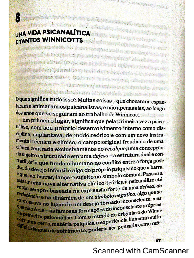 AB'SABER Experiência e Paradoxo Cap.8 | PDF