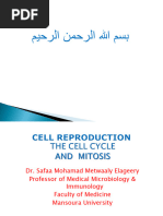Mitosis Mover Webquest Bioman PDF | PDF | Mitosis | Chromosome