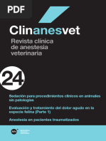 PROTOCOLO ASA Final - Paola Pérez | PDF | Anestesia | Cirugía