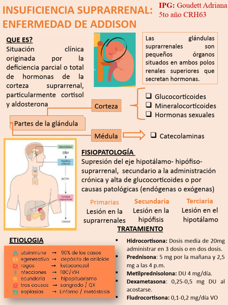 Infografia-Enfermedad de Addison | PDF