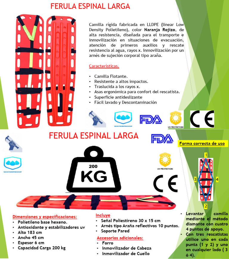 Ferula Espinal Larga Ficha Tècnica | PDF