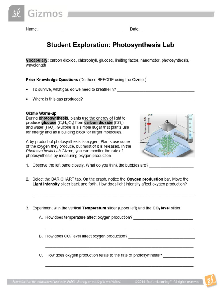 Photosynthesis Lab SE | PDF | Photosynthesis | Carbon Dioxide