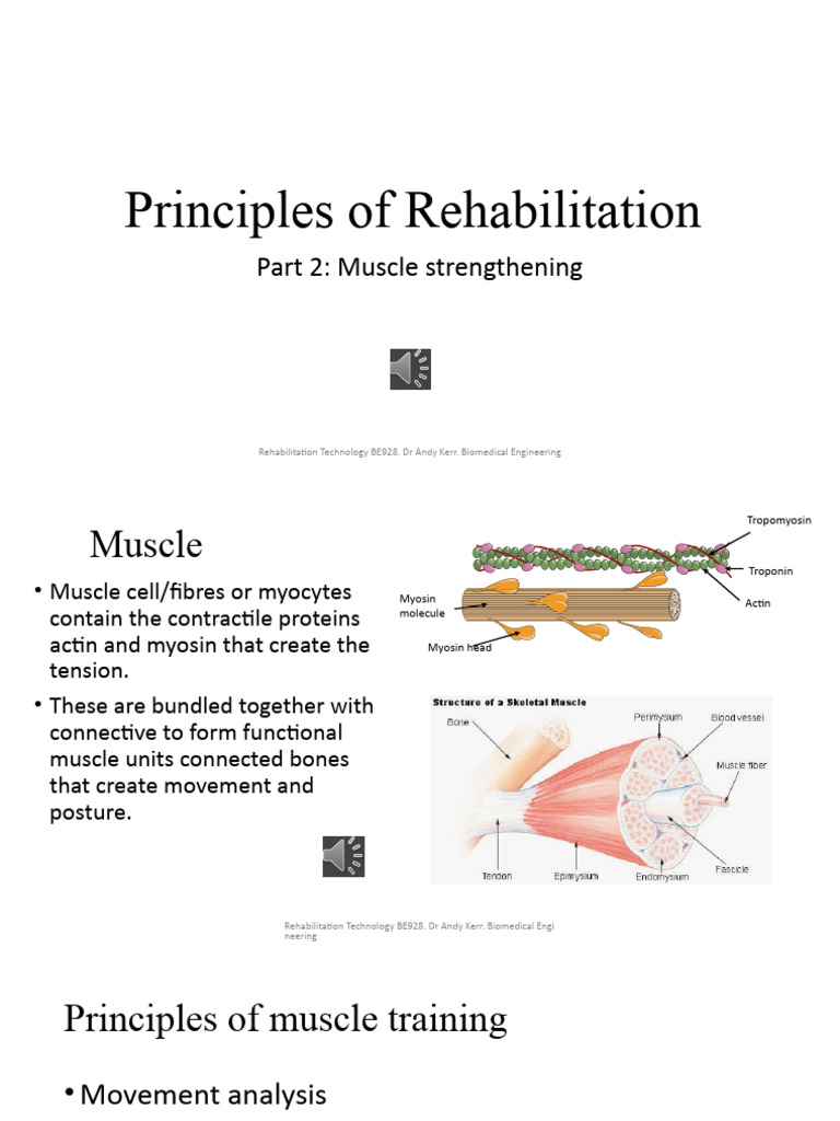 Principles of Rehabilitation - Part Two (Myplace) | PDF | Muscle ...