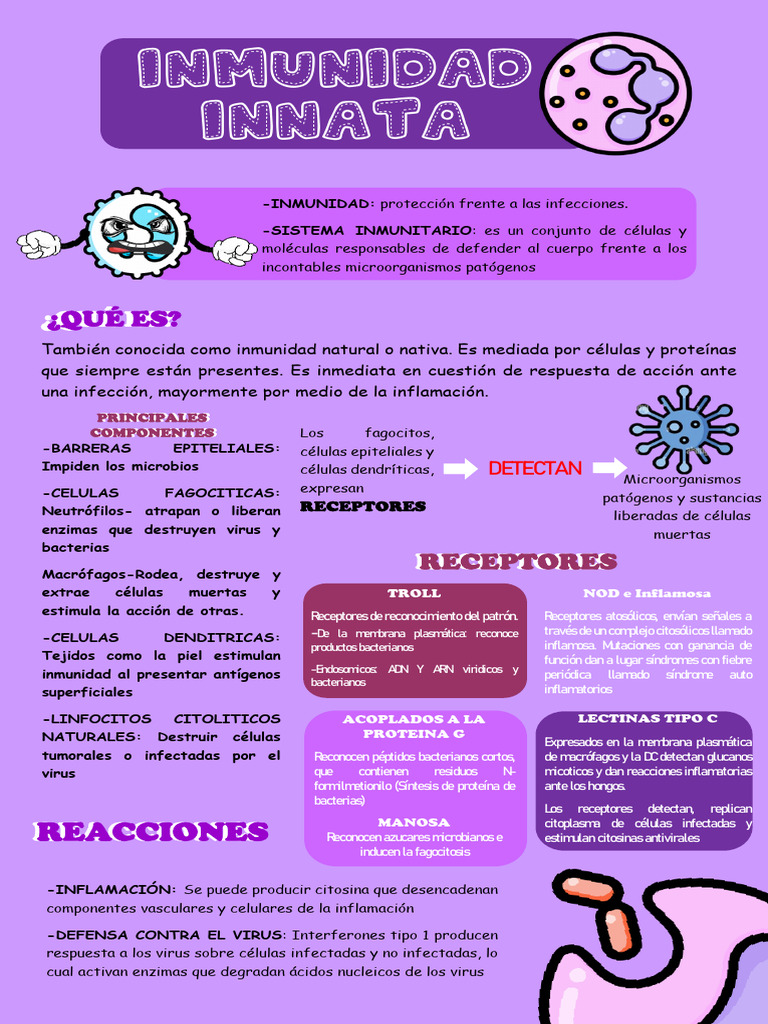 INFOGRAFIA_1 | PDF | Sistema inmune | Sistema inmune innato