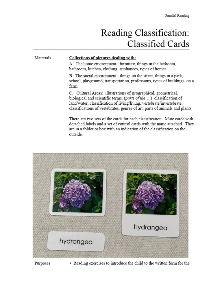 rc - classified cards mc | PDF | Taxonomy (Biology) | Human Communication