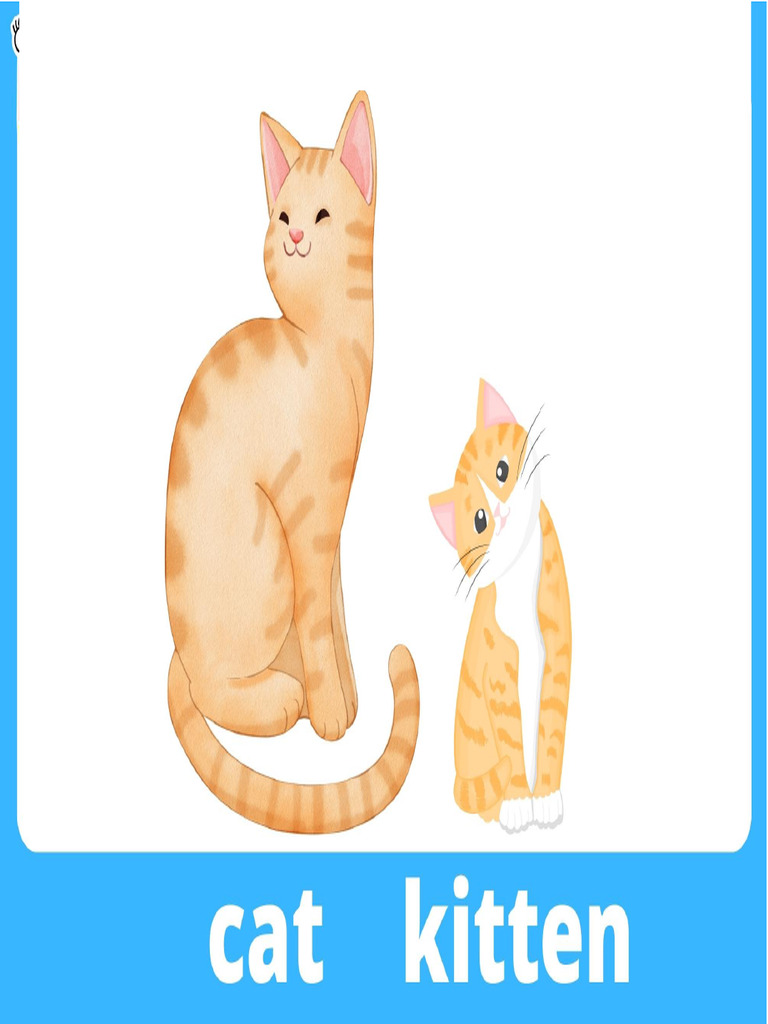 Animals and Their Young Flashcards For Kindergarten and English ...