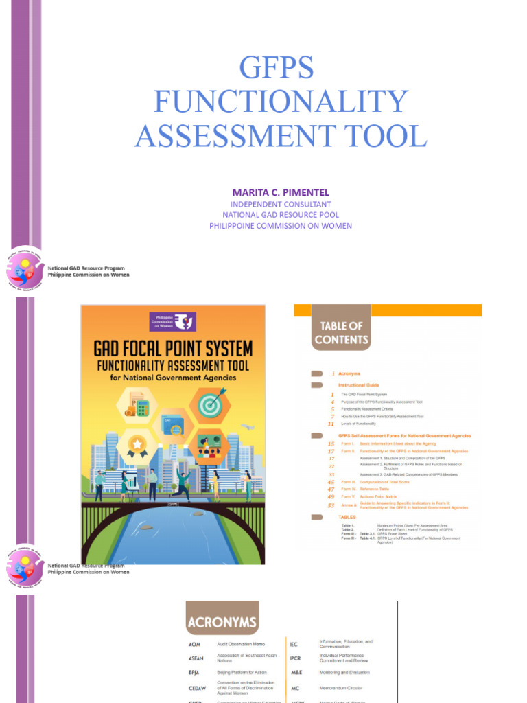 Gfps Functional Assessment Tool | PDF | Business