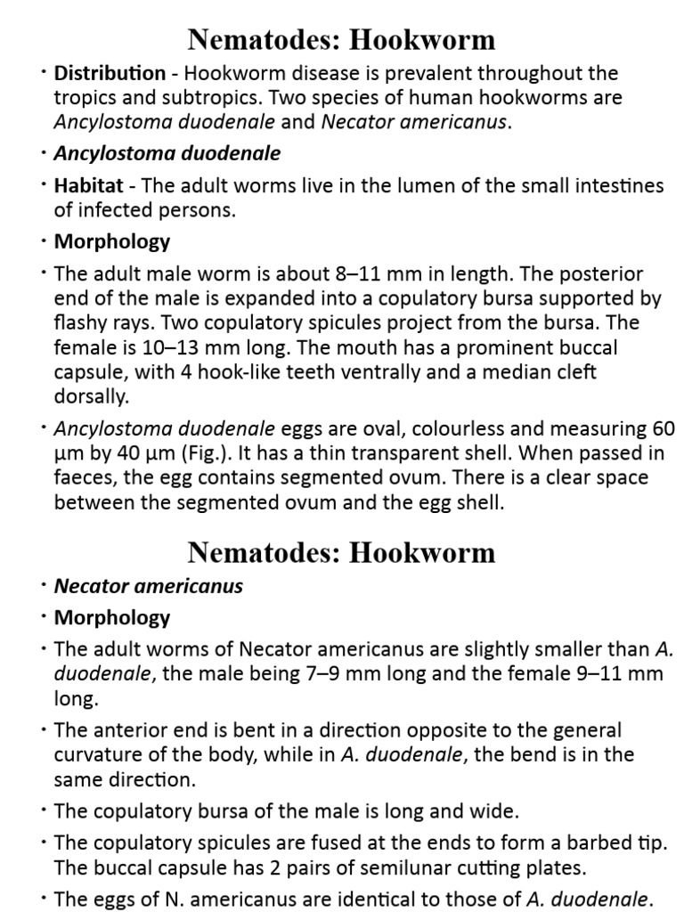 Environmental Health Parasitology - Hookworm | PDF | Medical Specialties | Diseases And Disorders