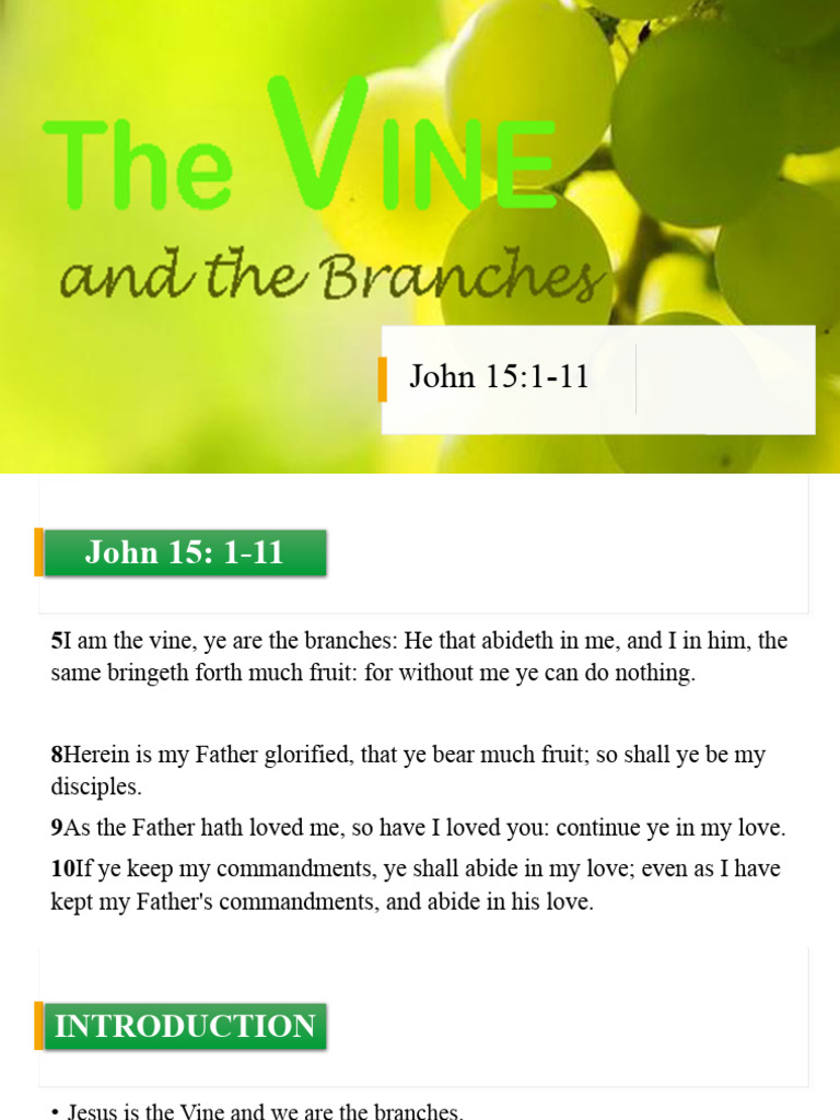 The Vine and The Branches | PDF | Religious Belief And Doctrine ...
