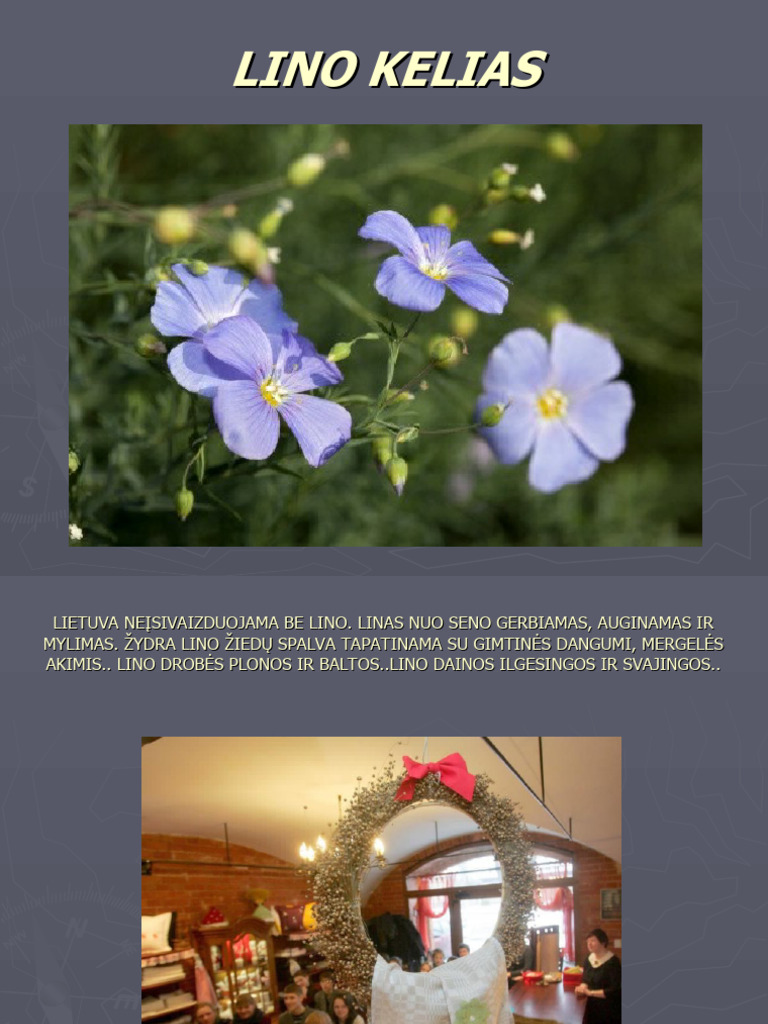 Lino Kelias | PDF