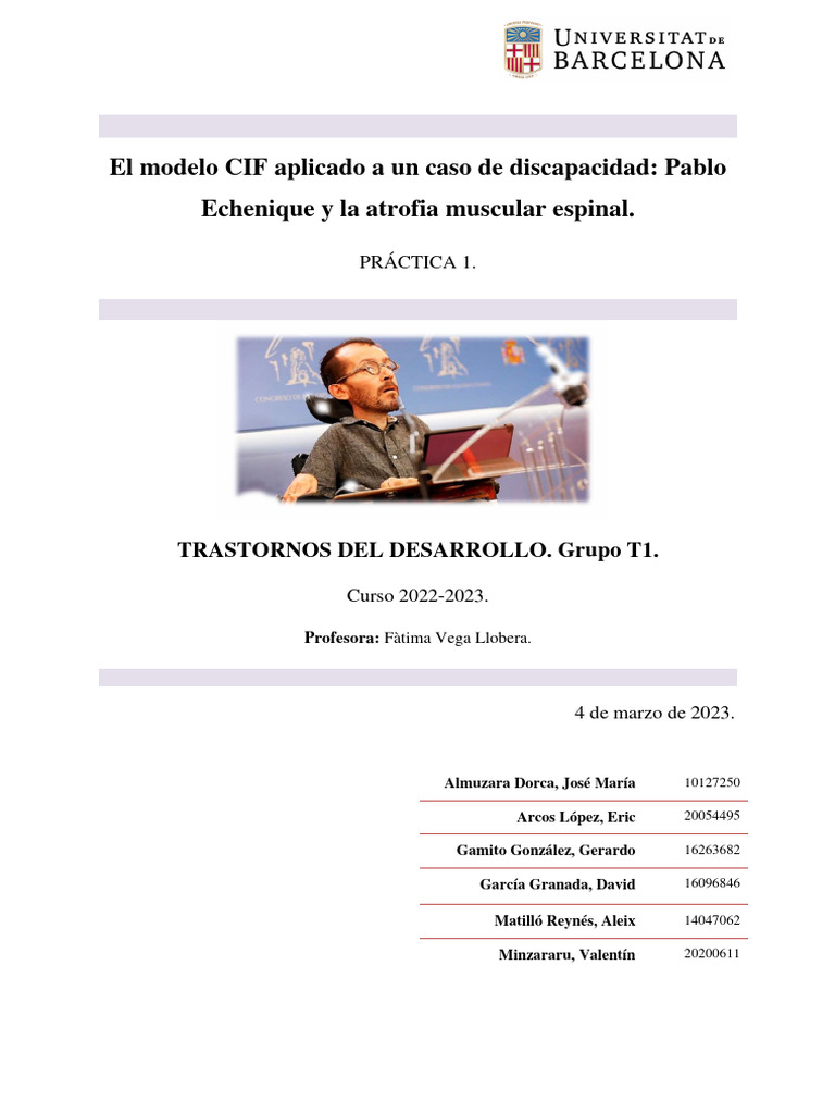 Modelo CIF y Pablo Echenique: AME | PDF | Invalidez