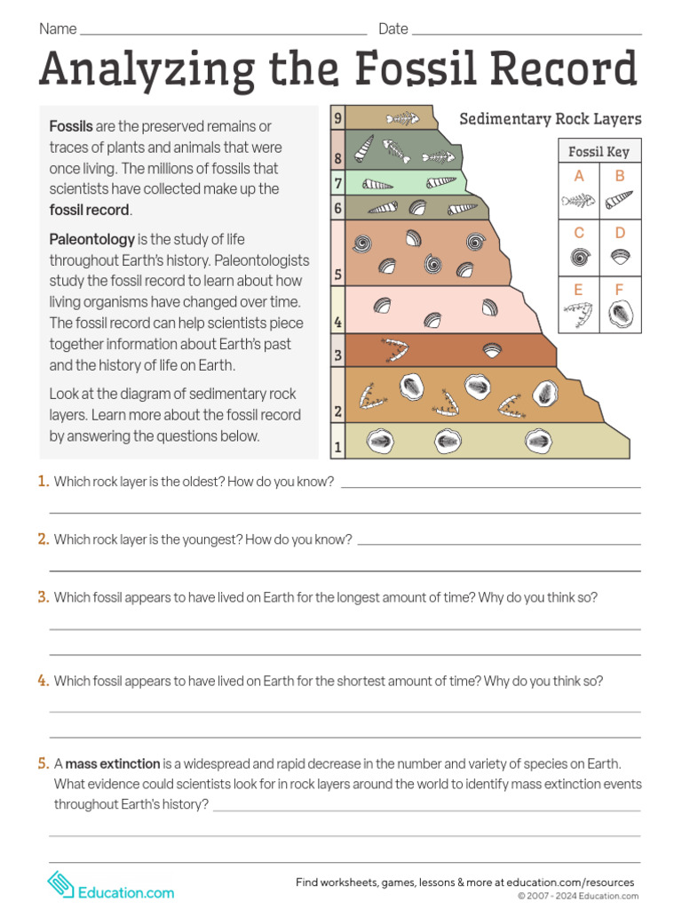 Analyzing The Fossil Record | PDF