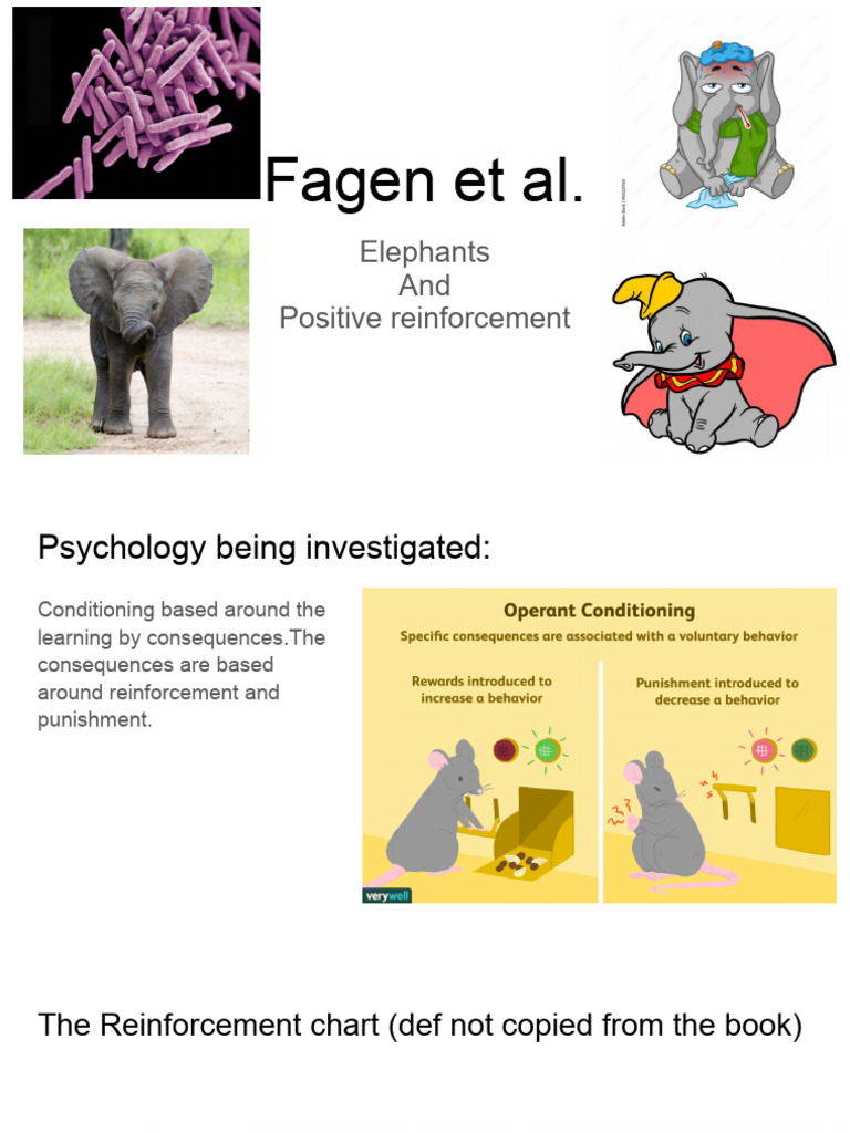 Elephant Training with Positive Reinforcement | PDF | Elephant ...